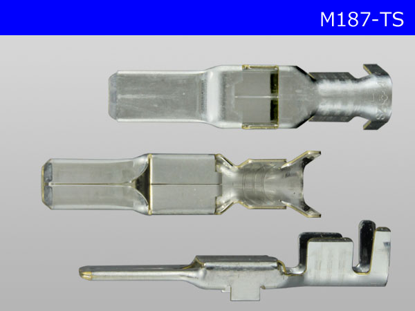 187 Type [SWS] TS series M Terminal /M187-TS - hi-1000ec.com